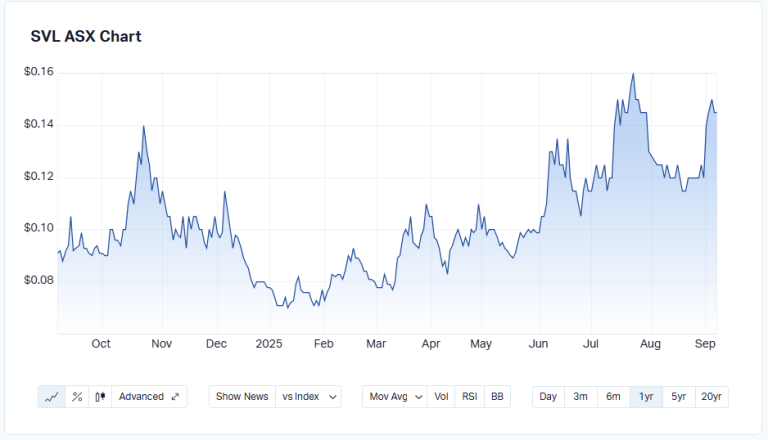 Best ASX Silver Stocks: 15 Top Companies to Invest in 2025